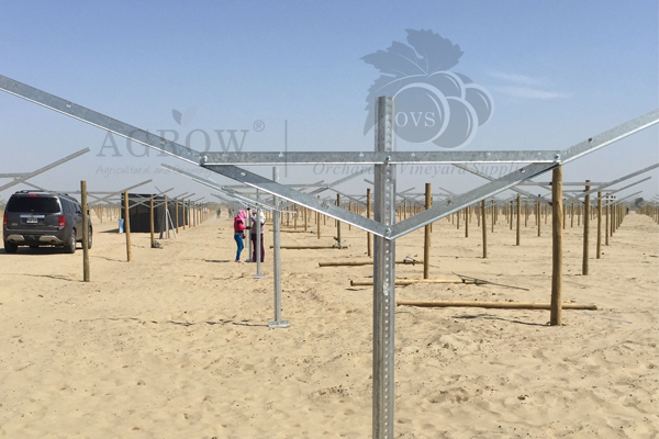 Quality Open Gable Trellis Central Crossarm Manufacturer and Supplier ...