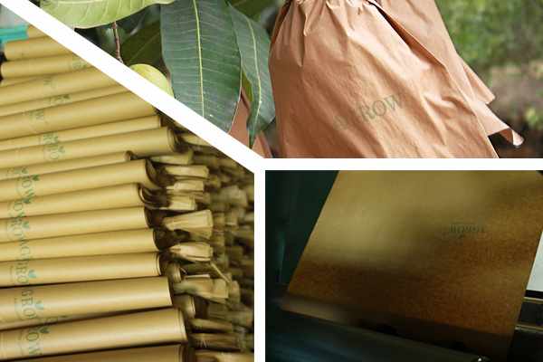 AGROW|Bagging Of Mango Influences Fruit Quality