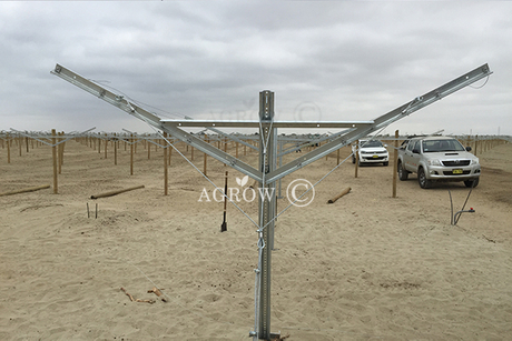 Quality Vineyard Open Gable Trellis System Manufacturer and Supplier ...