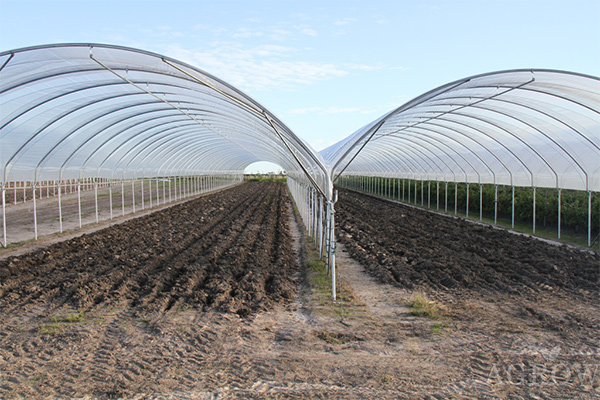AGROW|Taking Care Of Your Polytunnel