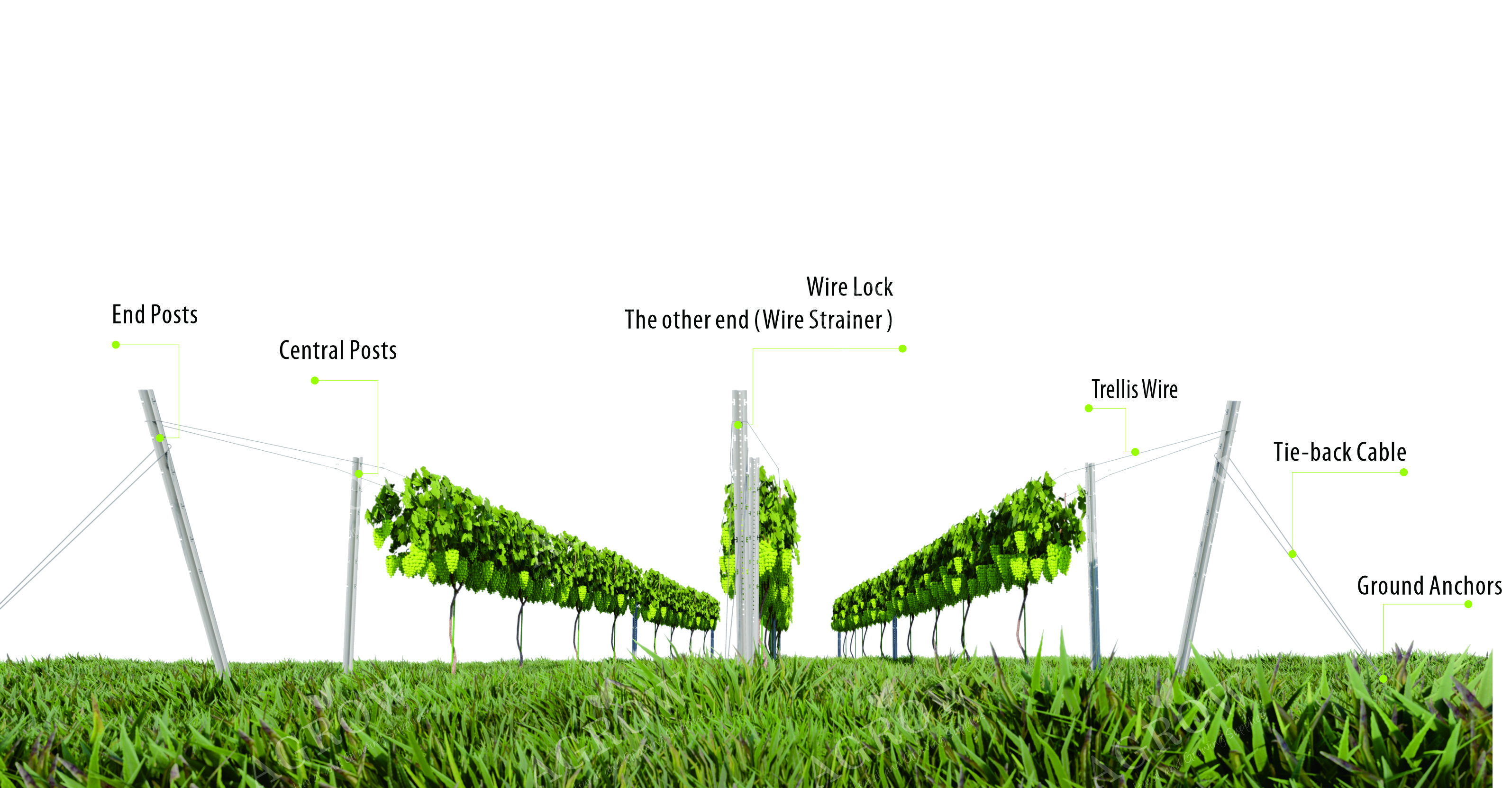 Quality Vertical Shoot Positioning (VSP) Trellis System Manufacturer ...