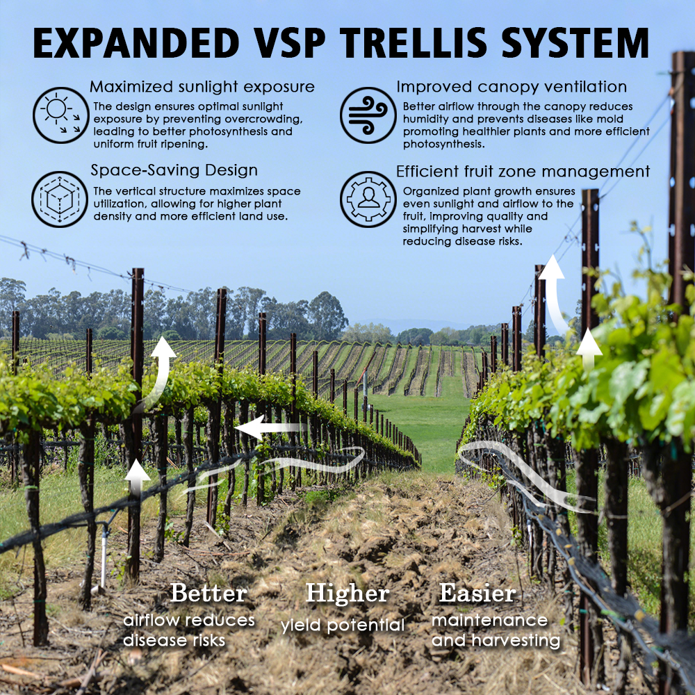 Quality Vertical Shoot Positioning (VSP) Trellis System Manufacturer ...