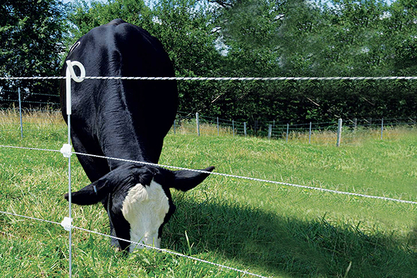 Quality Galvanized Farm Animal Electric Fencing Flexible Pigtail Snap ...