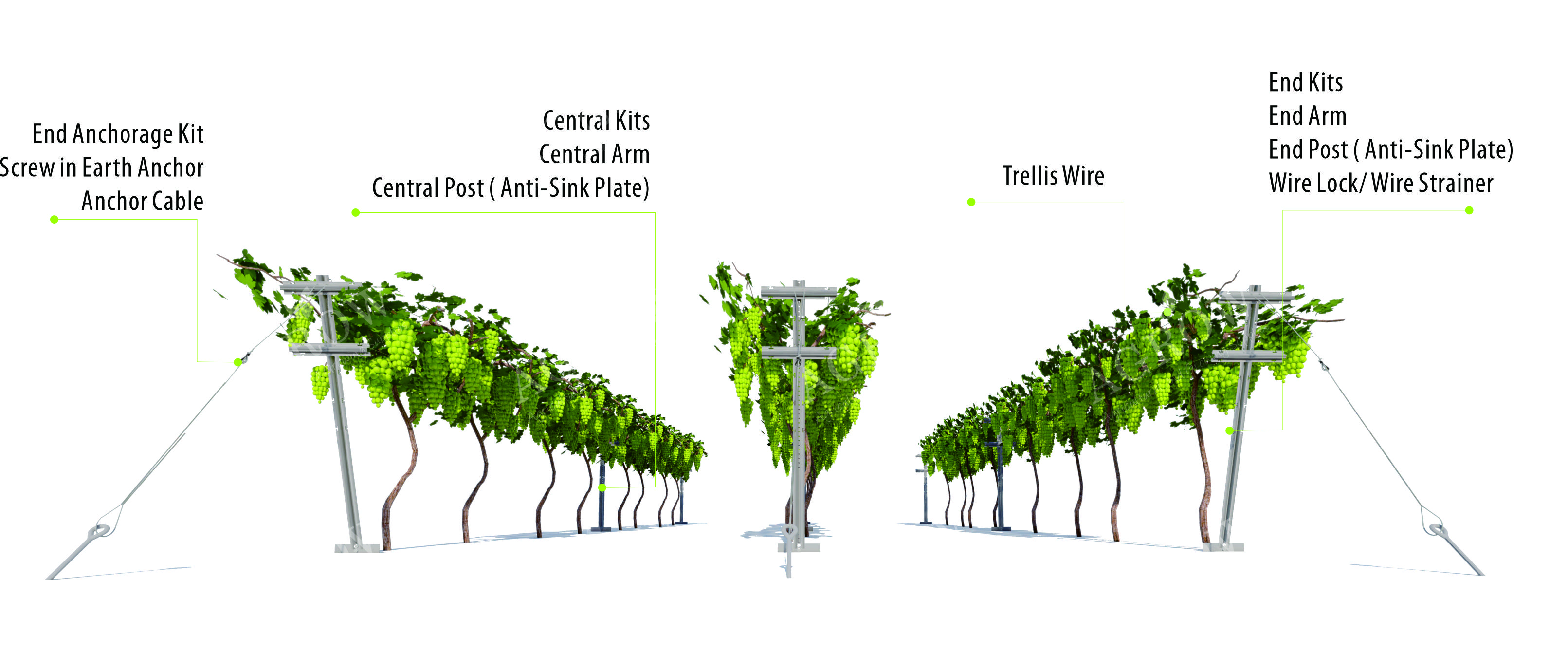 Quality Expanded Vertical Trellis System Manufacturer and Supplier from ...