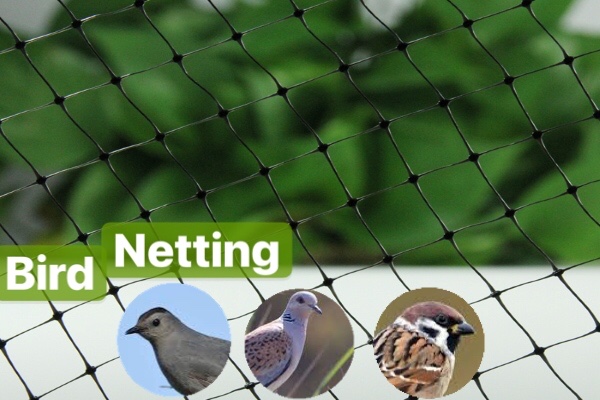 AGROW|Different Types Of Plant Nets In The Garden